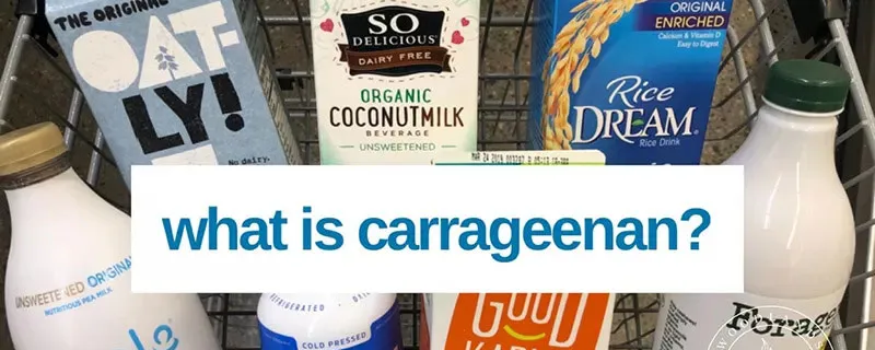 What is Carrageenan? - Blog